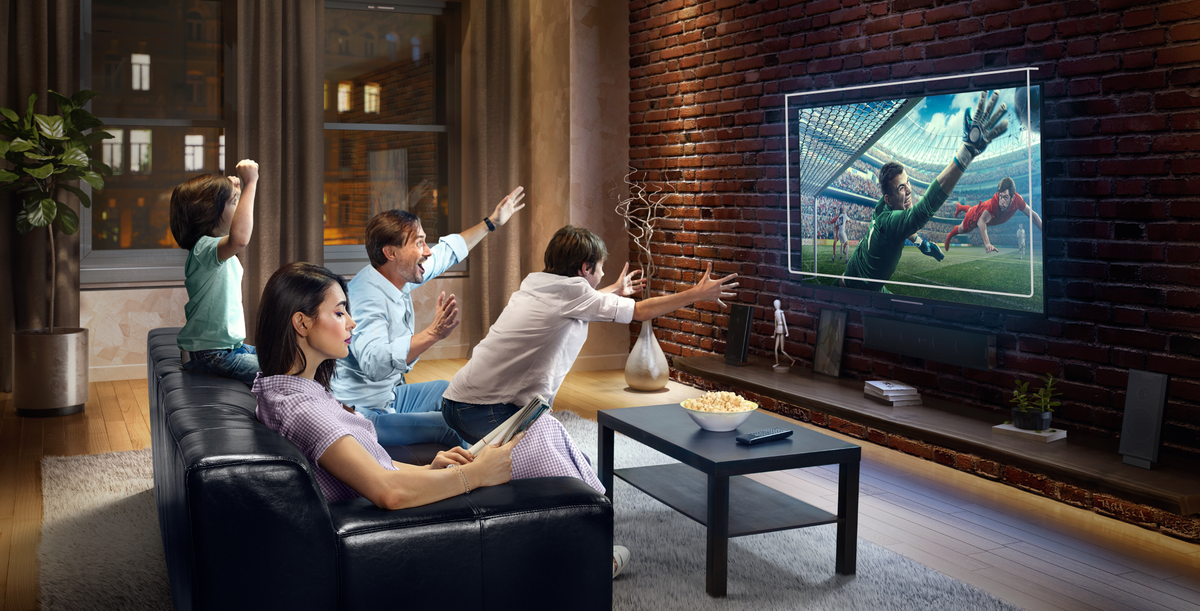 TV Screen Protector -protect your TV now from accidental impact damage